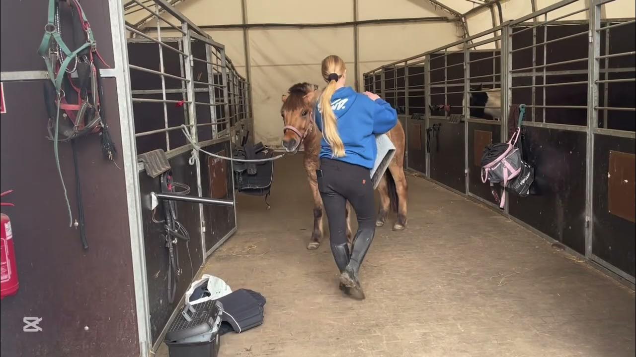 Vlog // jazda z Kasią - YouTube