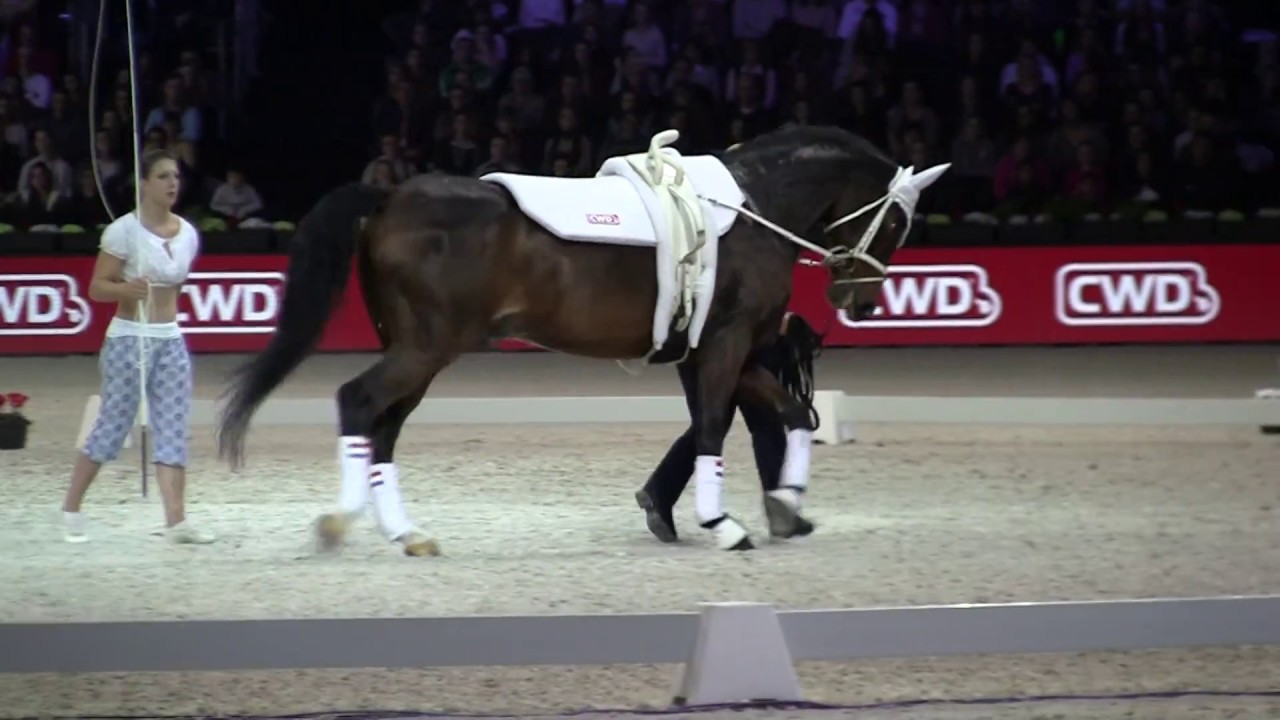 Compétition de voltige à cheval. - YouTube