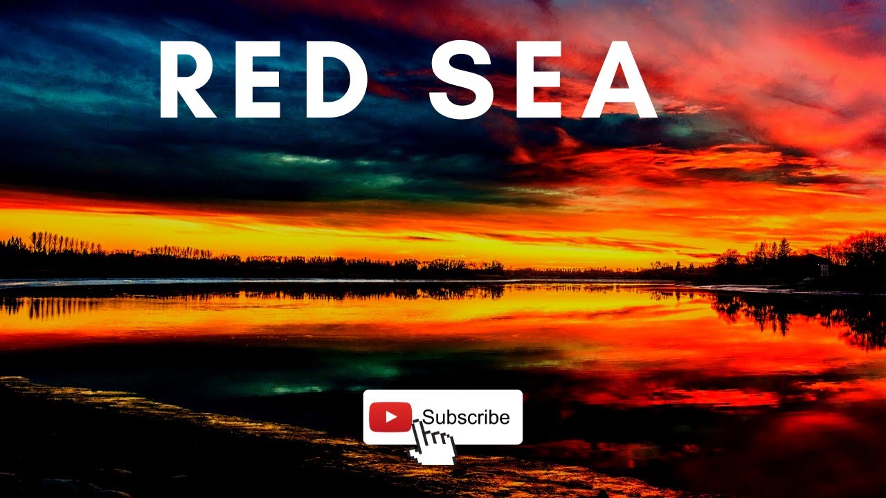 RED SEA | Interesting Facts about RED SEA | Documentary on Red Sea # ...
