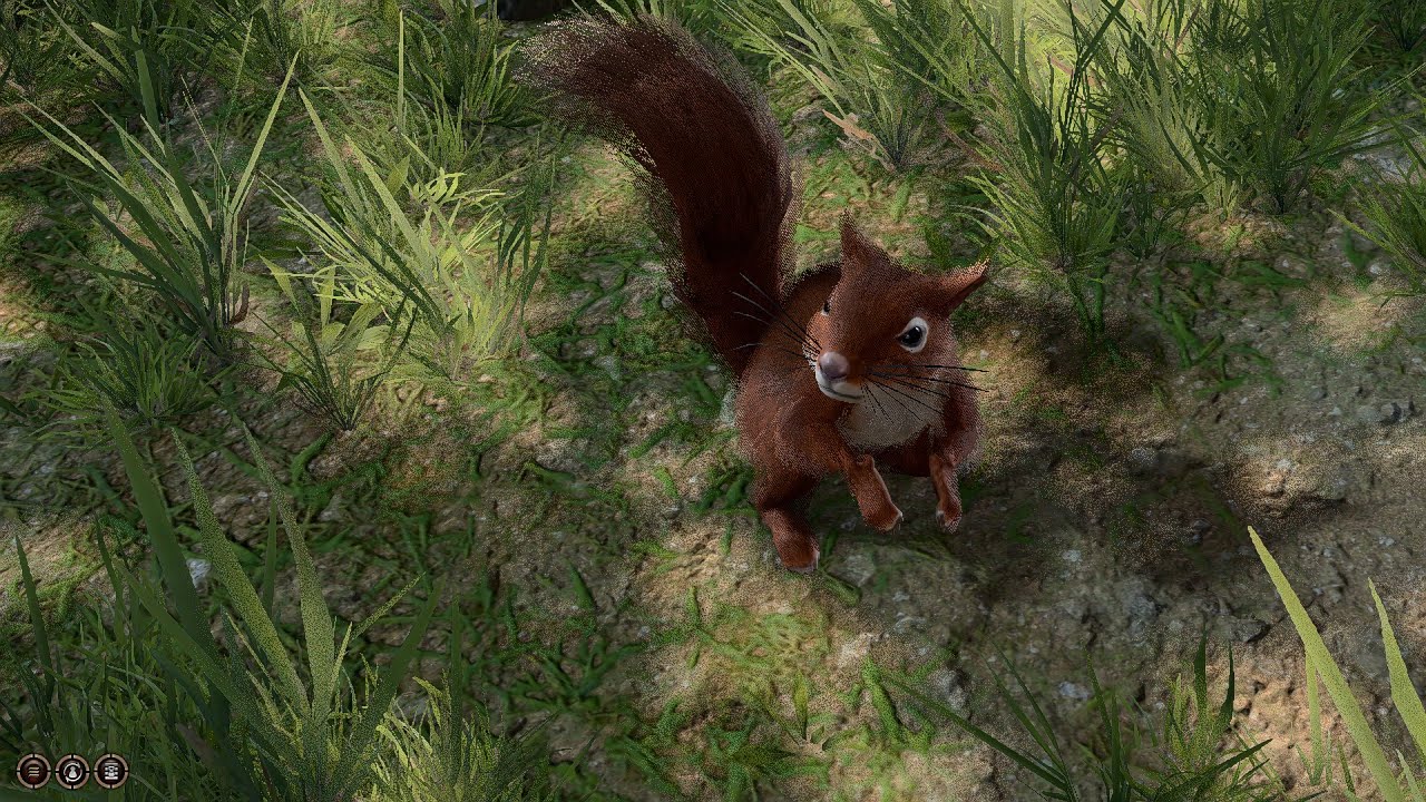 BG3 NOT kicking the squirrel - YouTube