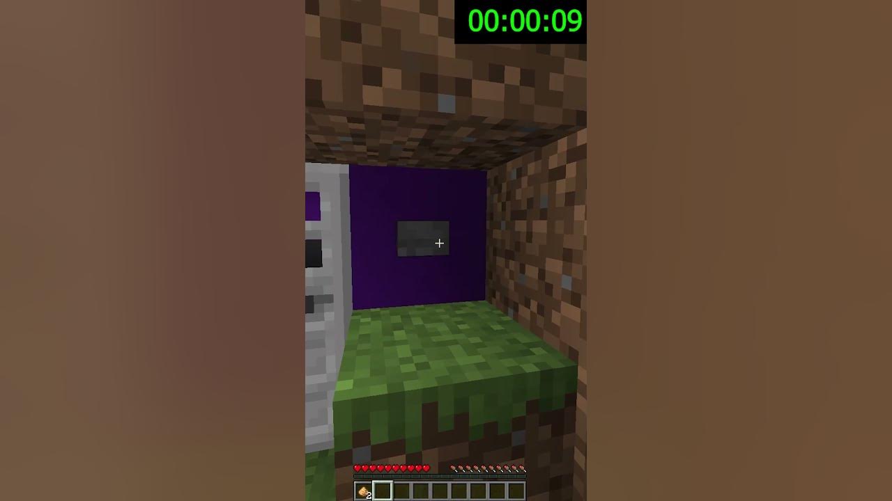 The Worlds Fastest Minecraft Speedrun Shorts Youtube