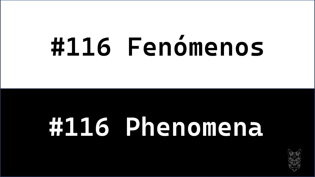 #116 Fenomenos/phenomena/palabras/ejemplos/vocabulario/inglesyespañol ...