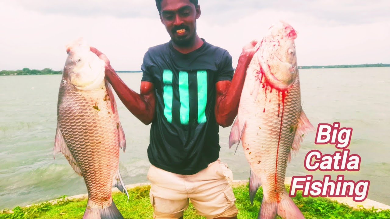 Big Catla Fishing In Rohu Fishing Catching Video !!! Traditional Cast ...