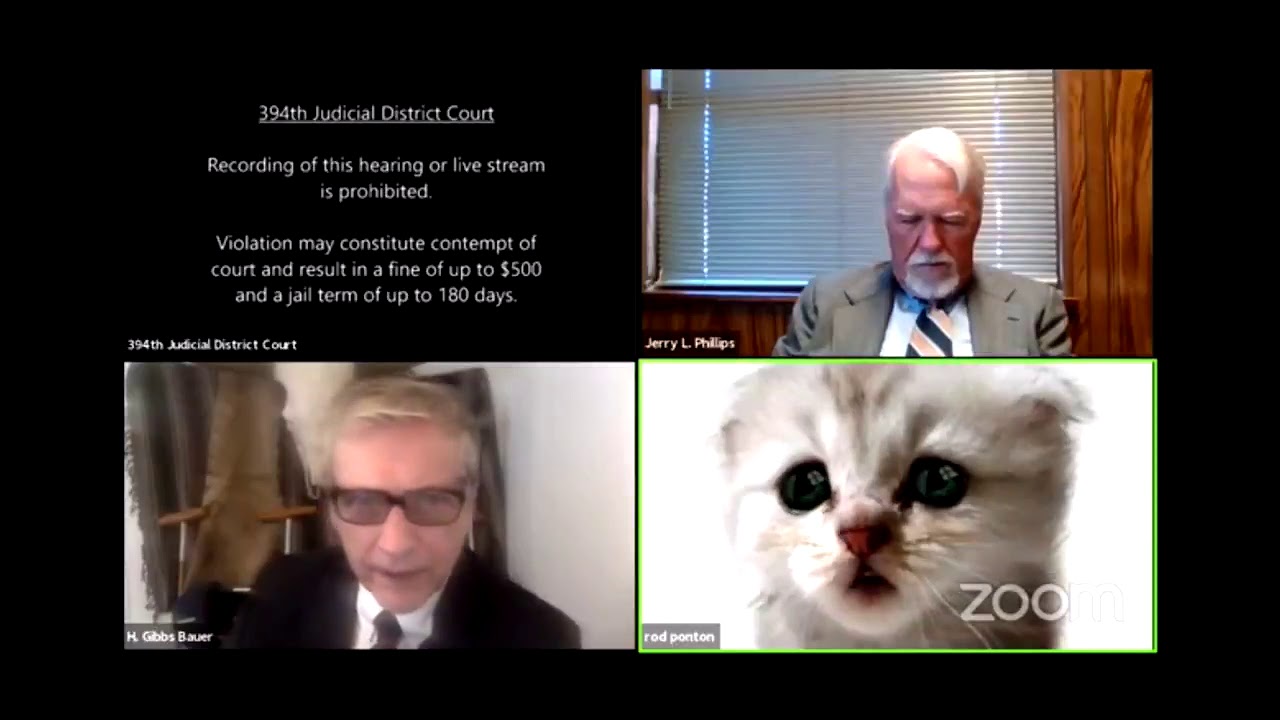 A lawyer on a zoom video enabled a cat filter during a hearing with a ...