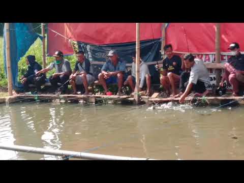 perang bintang adu sekil para senior seru dan meriah - YouTube