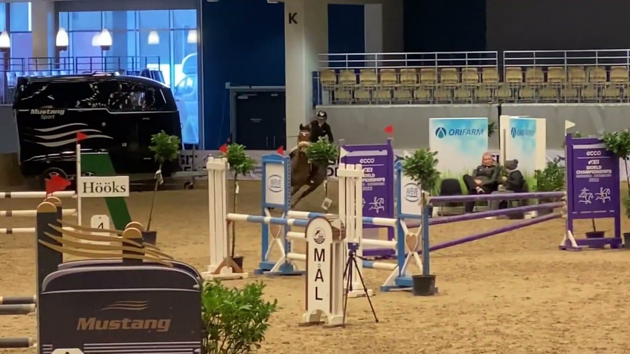 Franzi Scandinavian jumping tour LA - YouTube