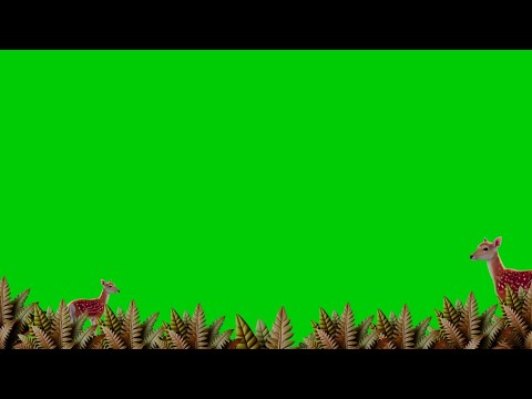 Deer Green Screen Background Video Effects HD - YouTube