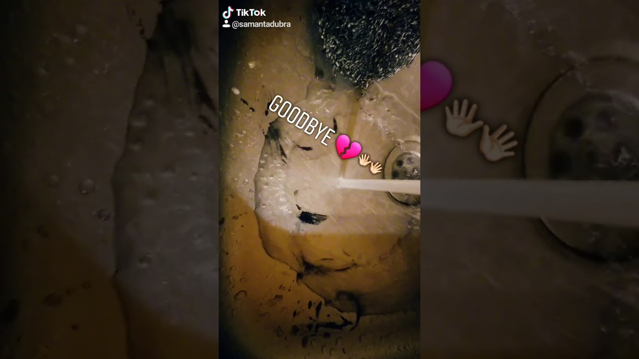 Tik tok song "Goodbye 2019" - YouTube