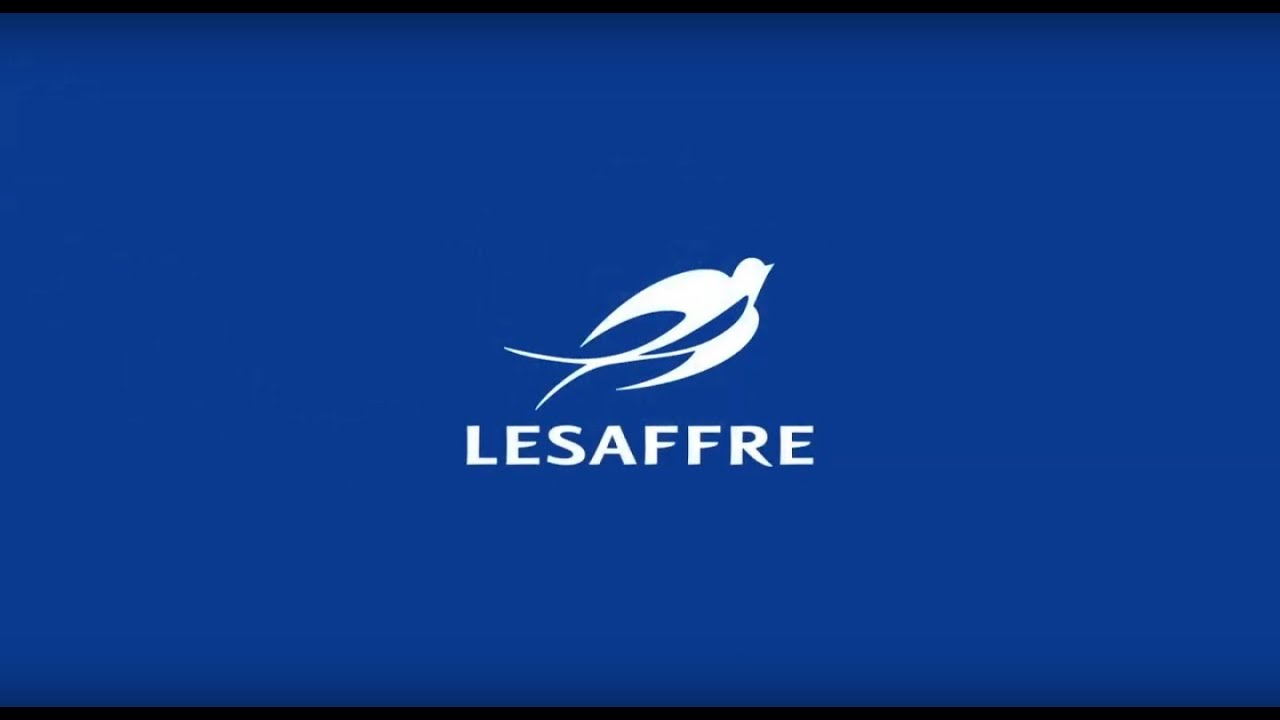Lesaffre Brasil - vídeo institucional 2019 - YouTube