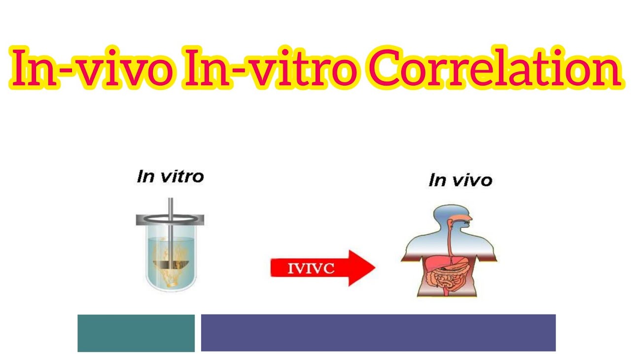 IVIVC( In-vivo In-vitro correlation) - YouTube