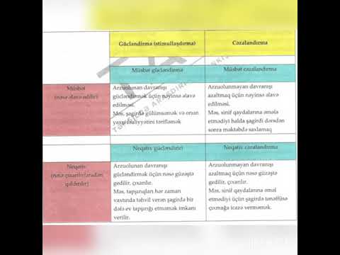 Biheyverizm nəzəriyyəsi. Təlimçi Coşqun Namazov 050 867 27 27