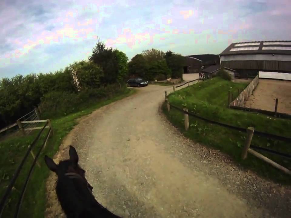 Home again - Nolton Stables - YouTube