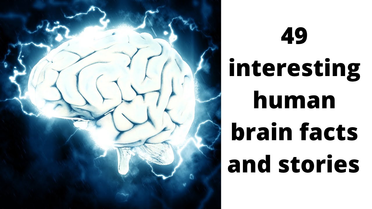 49 Interesting Human Brain Facts and Stories - YouTube