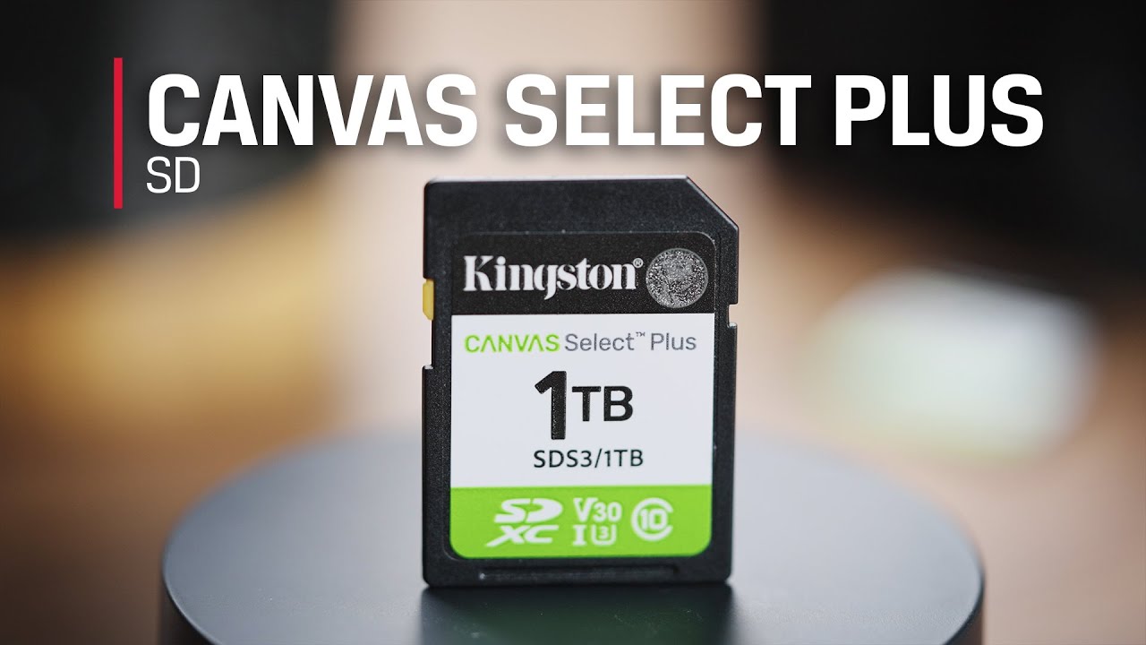 Recover Missing or Corrupted Adobe Premiere Pro Projects: Protecting ...