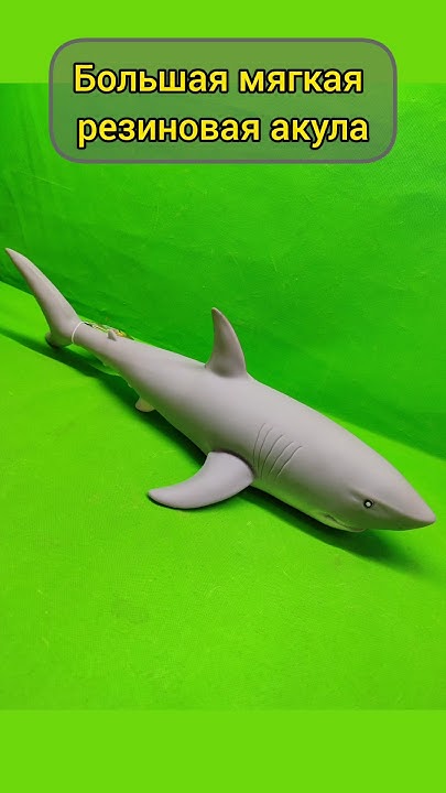 Акула игрушка резиновая🦈 #shorts - YouTube