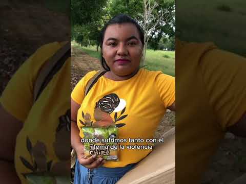 Video Oficial Ñami Chips - YouTube