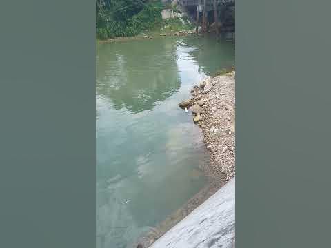 Sa Tabi Ng Ilog - YouTube