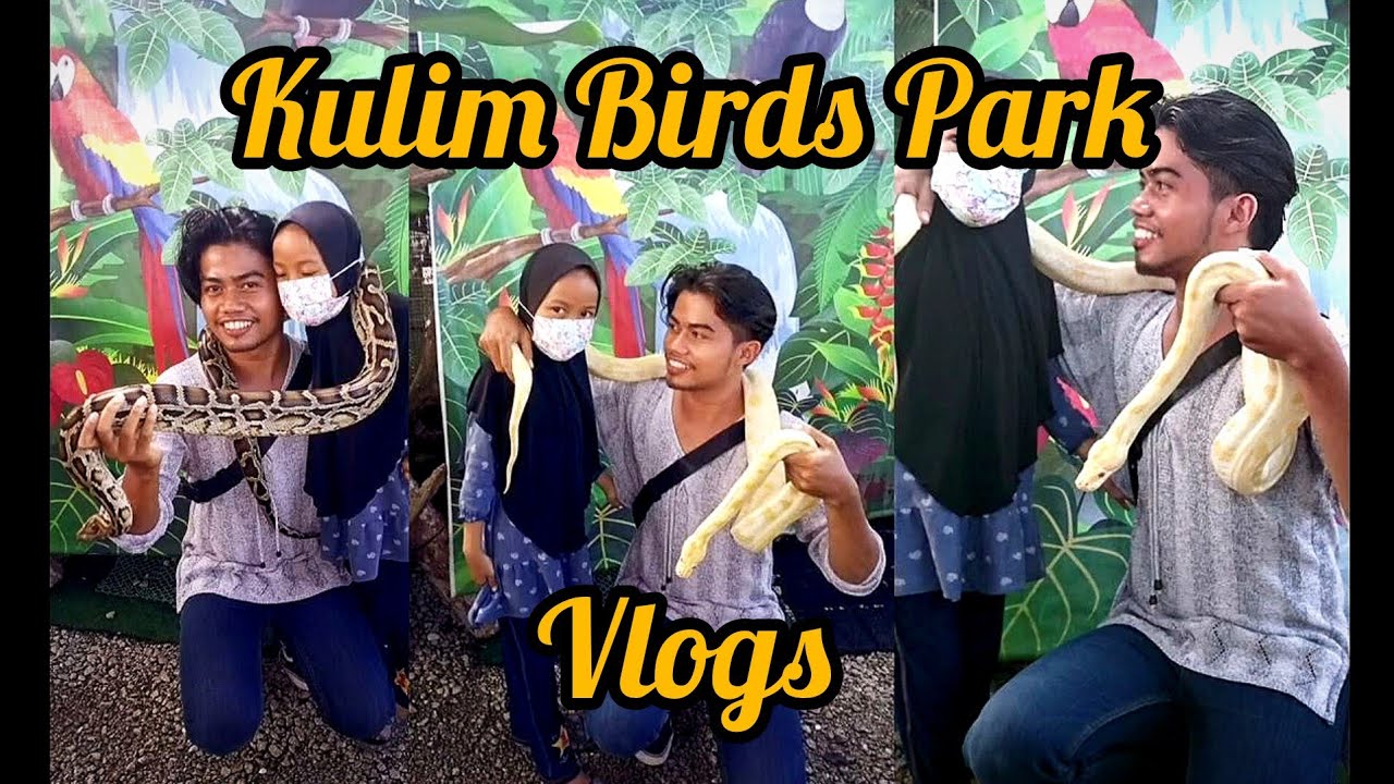 Taman Burung kulim, kulim birds park - YouTube