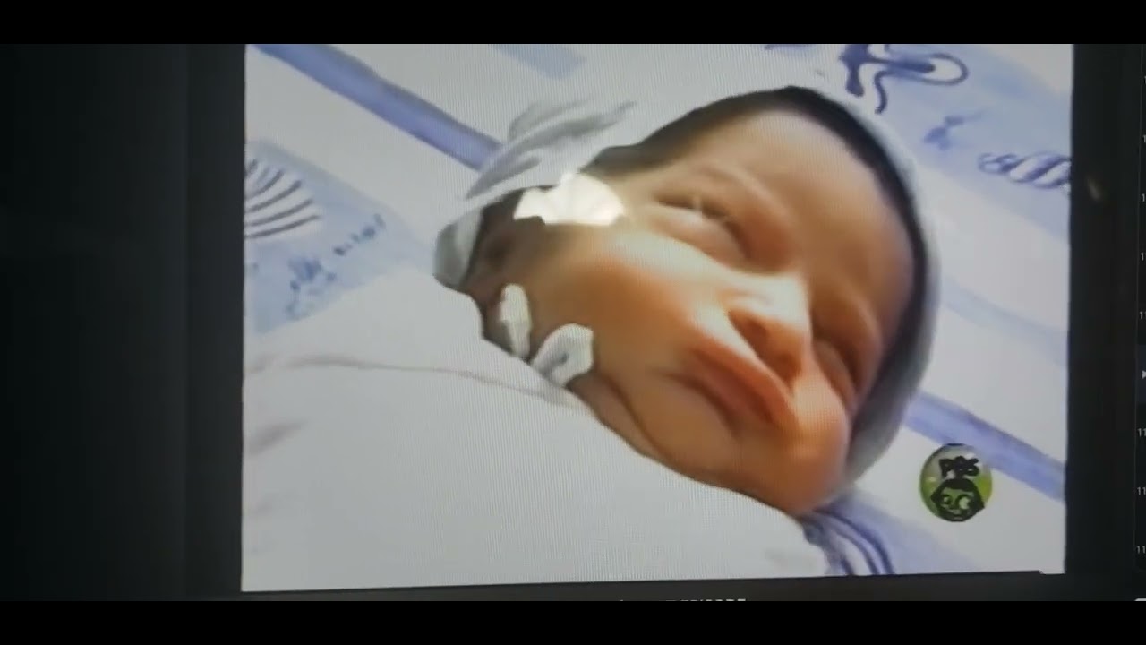 Teletubbies In The ABC Order - One - YouTube