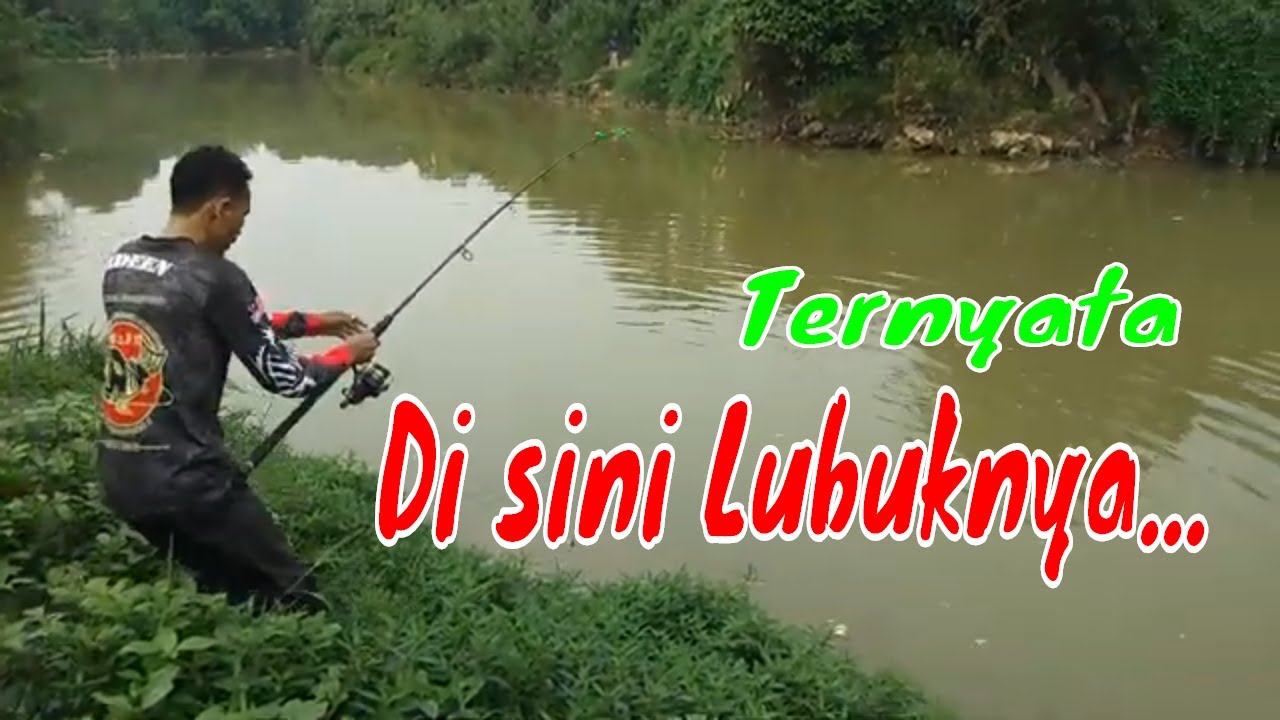 Lubuk Ikan Patin ...Sungai Dengkil.. - YouTube
