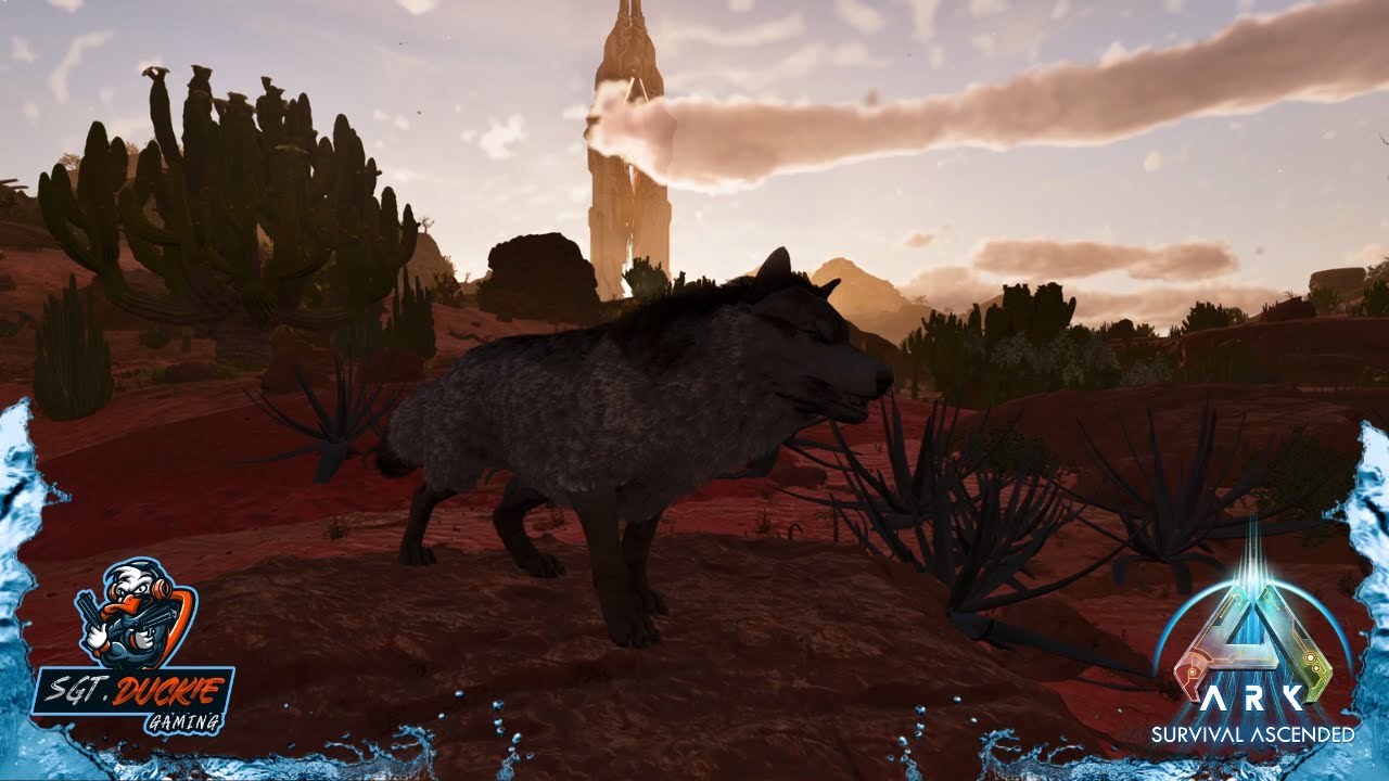 Taming a Dire Wolf - Ark Survival Ascended - Scorched Earth - YouTube