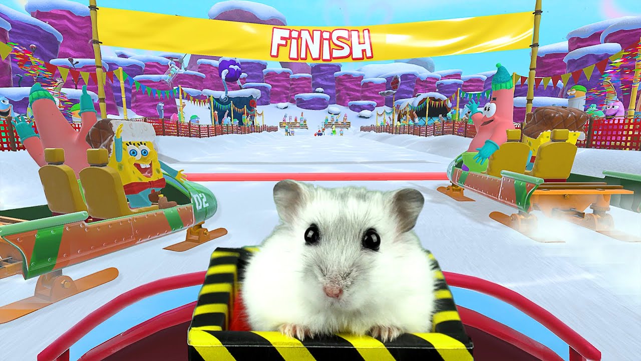 Hamster in Roller Coaster with SPONGE BOB SNOW SLIDE - YouTube