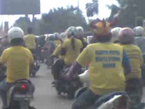 barito mania, buaya kuning hamuk - YouTube