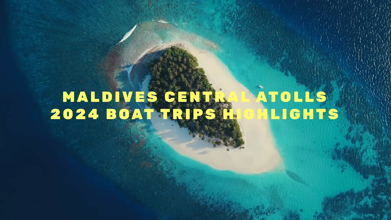 Maldives Central Atolls Surf Boat Trip - 2024 Highlights - YouTube