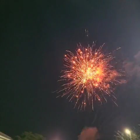 Worm Gunner, filmed correctly #fireworks #newyears2026 #pyrotechnica # ...