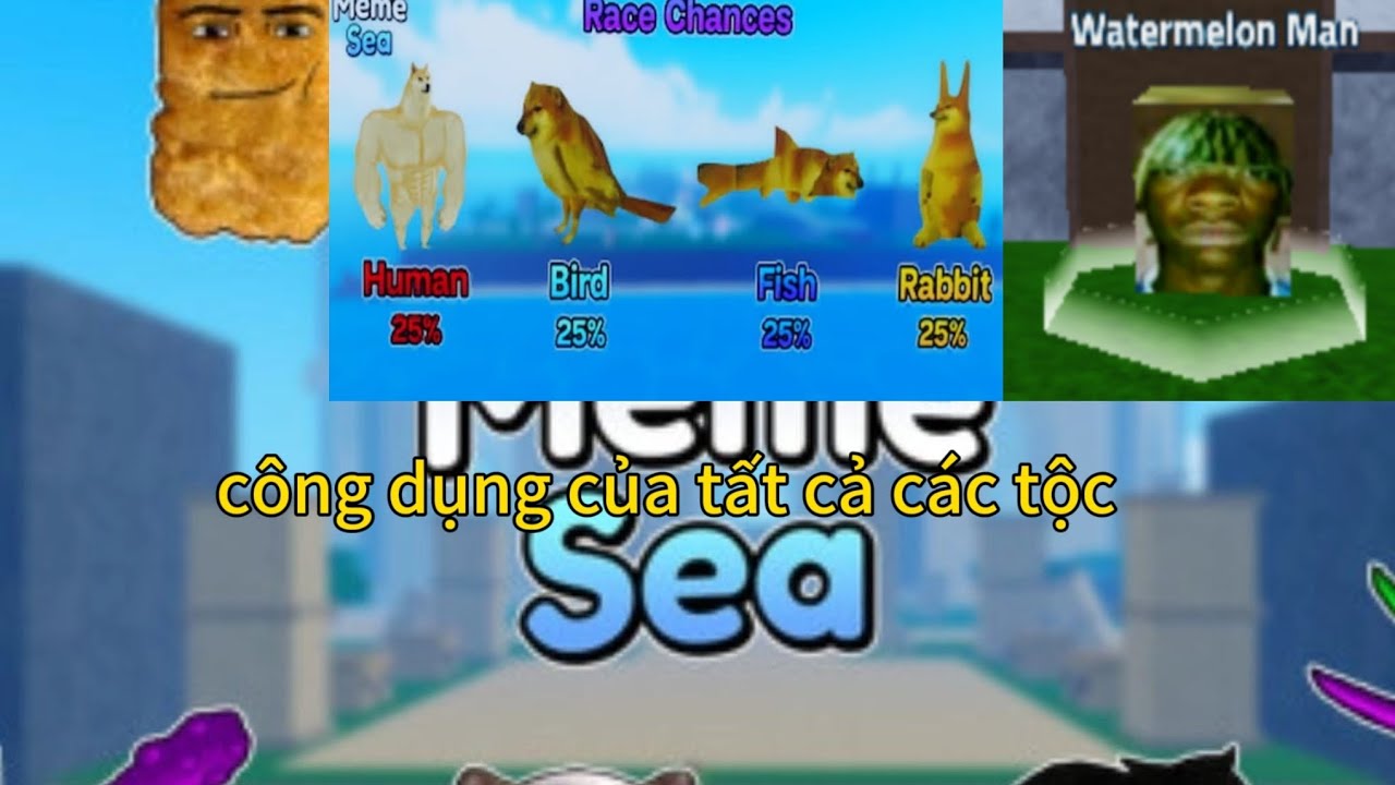 Công dụng của tất cả các tộc trong meme sea - YouTube