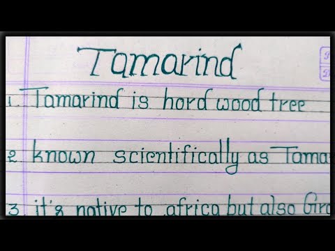 10 lines on tamarind tree in english//few lines about tamarind tree in ...