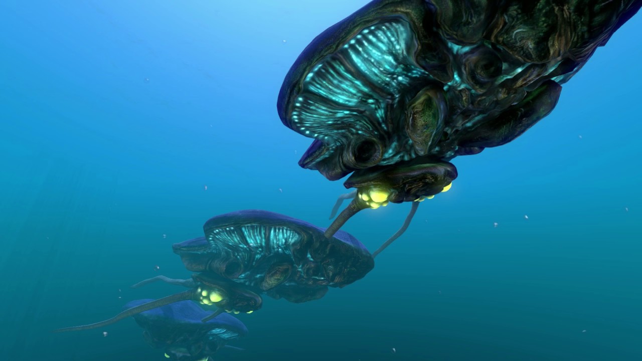 1 Hour of Subnautica Reefback Sounds - YouTube