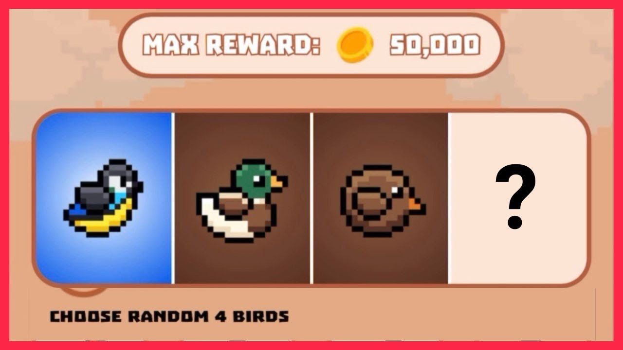Bird Daily Combo Today 17 November || Bird Combo Today || Daily Combo ...
