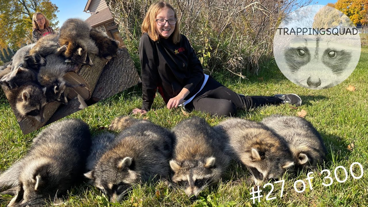 Raccoon Trapping IT Ran away on ME!! - YouTube