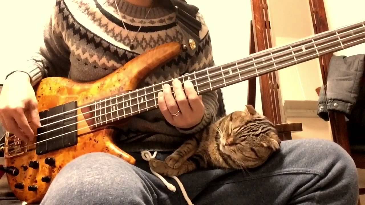 bass practice!! with cat - YouTube