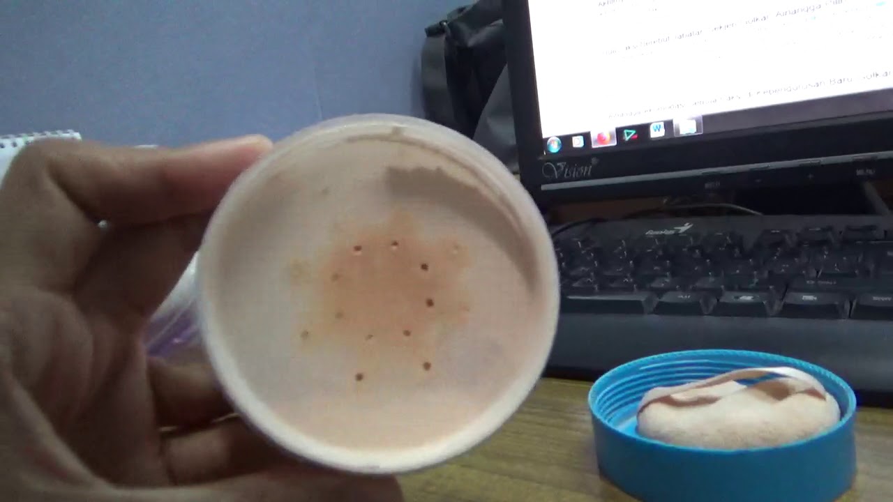 KOSMETIK HALAL/ BEDAK ZOYA ACNE SOLUTION LOOSE POWDER - YouTube