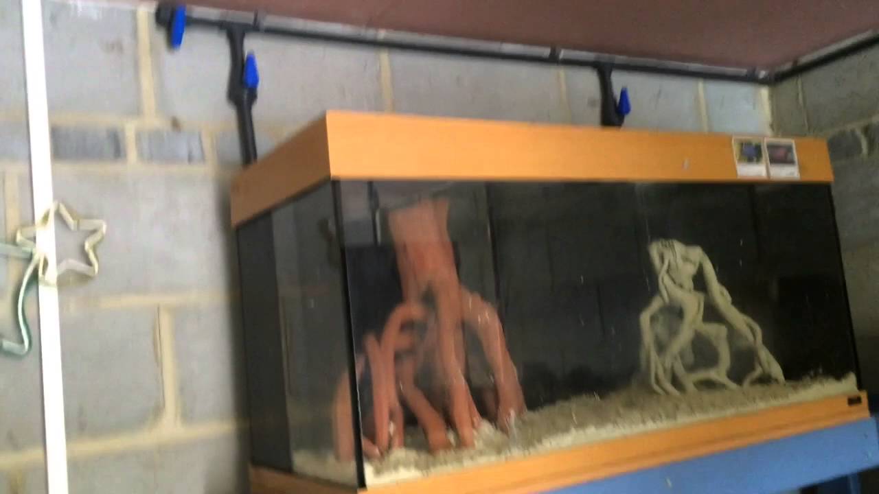 Fish Room - Plumbing Part 1 - YouTube