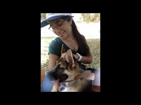 MIS DOS GRANDES AMORES SUSI Y LUNA - YouTube