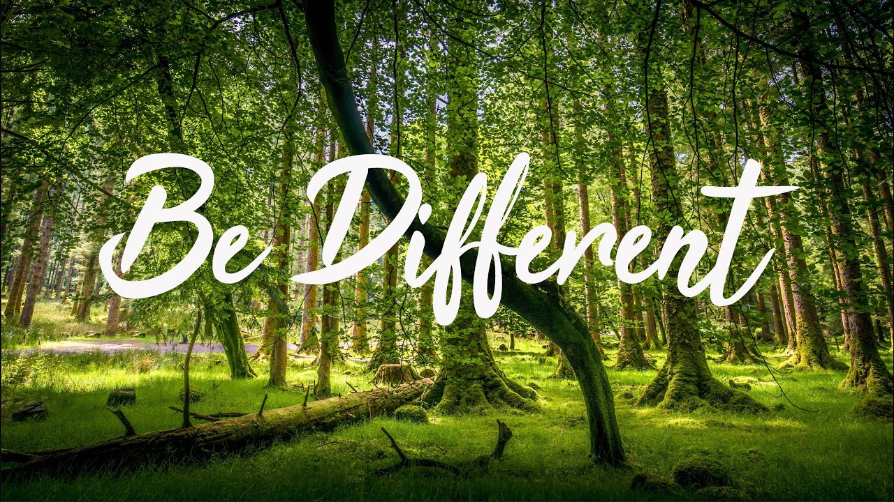 Lessons from Nature: Embracing Differences in Photography - YouTube