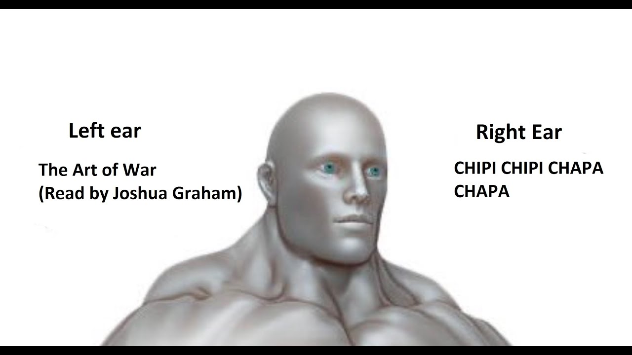 Left ear (The Art of War) Right ear (CHIPI CHIPI CHAPA CHAPA ...