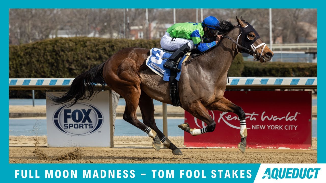 Full Moon Madness - 2025 - Tom Fool - YouTube