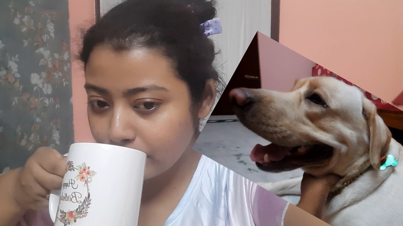 1st time tried milk tea with honey 🍯 || Zeus holo behal ei goromay 🫠 ...