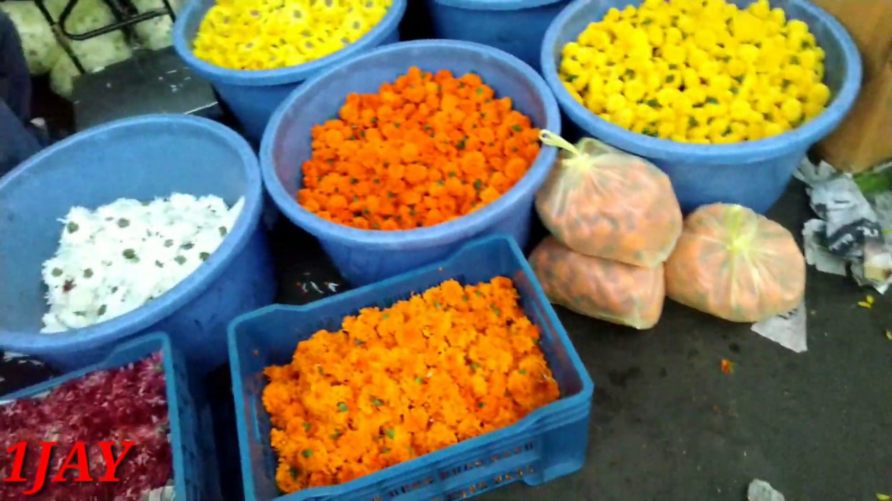 surat flowers market alkapuri bridge - YouTube