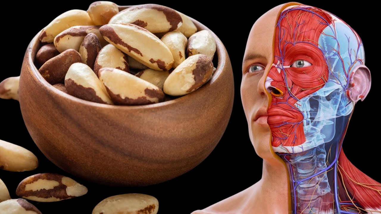 What Happens To Your Body When You Eat 1 Brazil Nut Every Day - YouTube