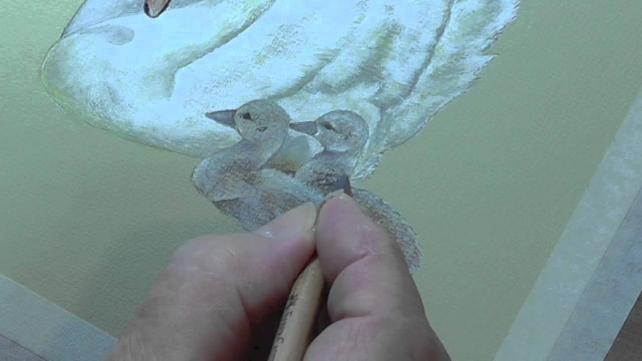 Swan & Cygnets in Pastel Pencils - YouTube