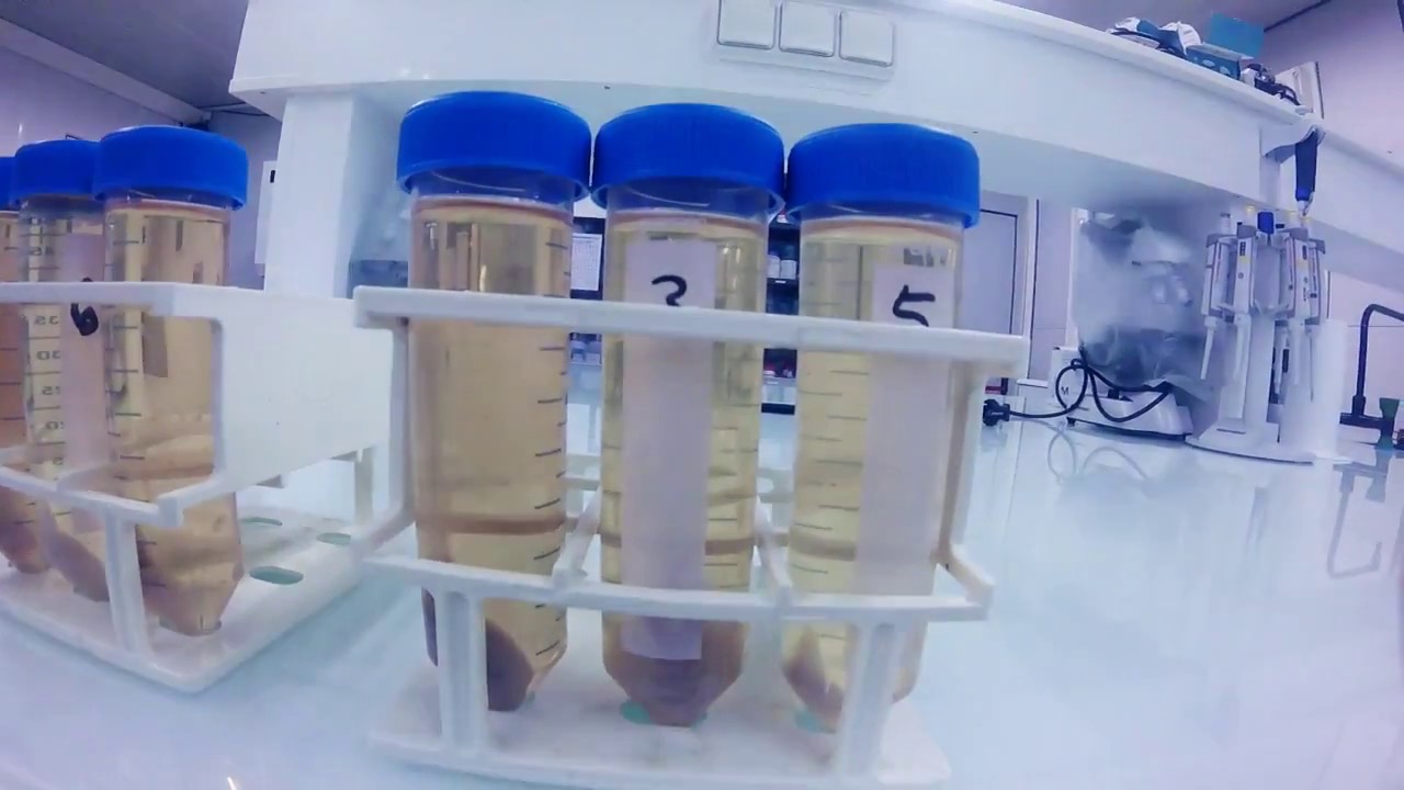 Extraction d'ADN de banane (projet DUT chimie) 2016 - YouTube