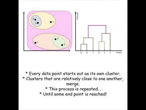 How does Agglomerative Clustering work? #Shorts - YouTube