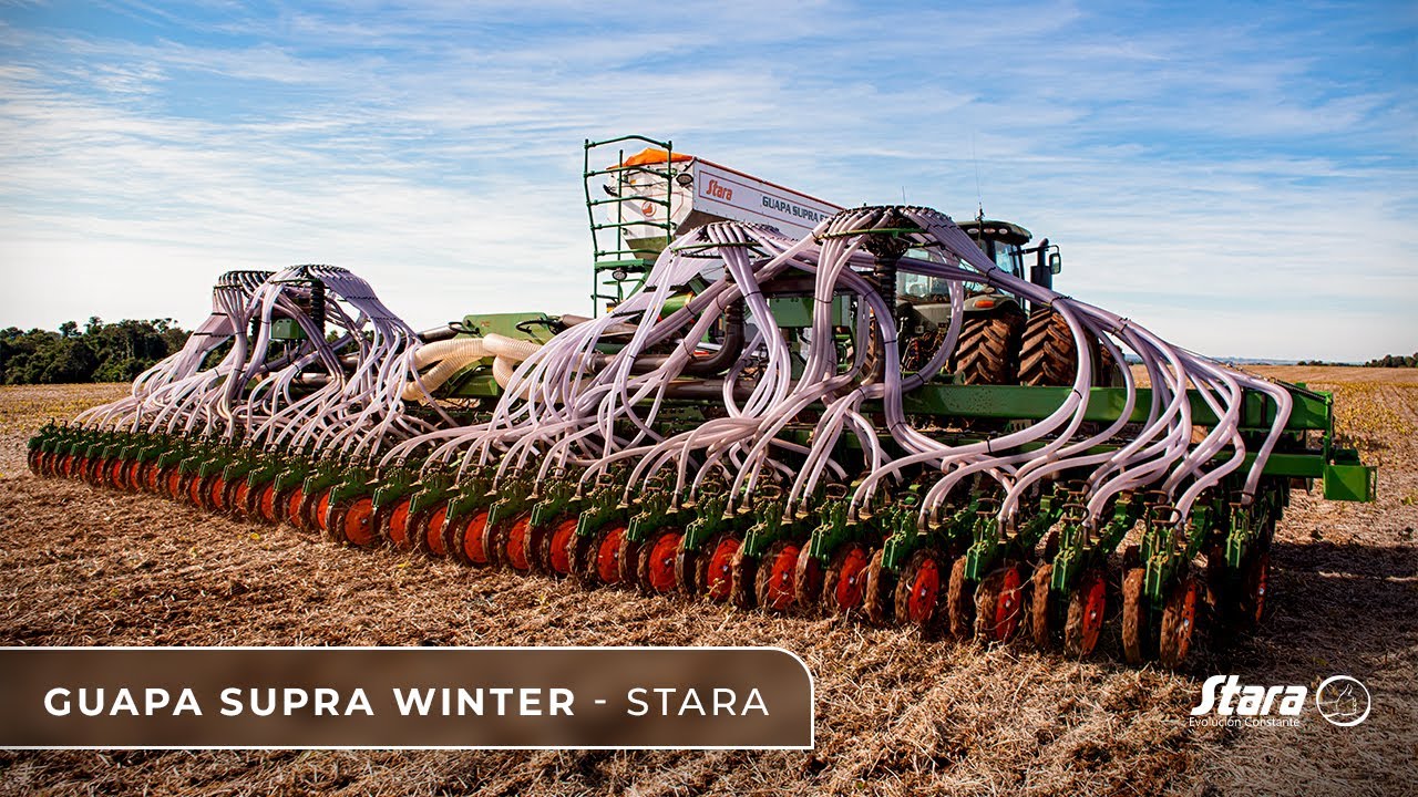 Guapa Supra Winter | STARA - YouTube