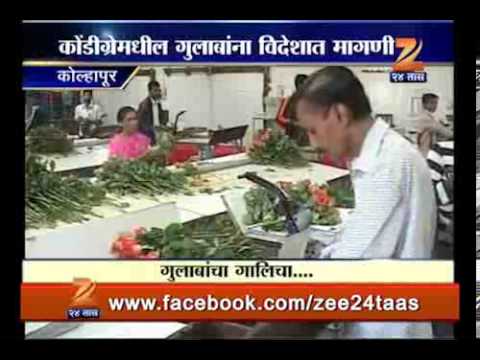 KOLHAPUR GULAB SHETI 1002 - YouTube