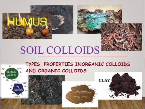 Soil Colloids and its characteristics - YouTube